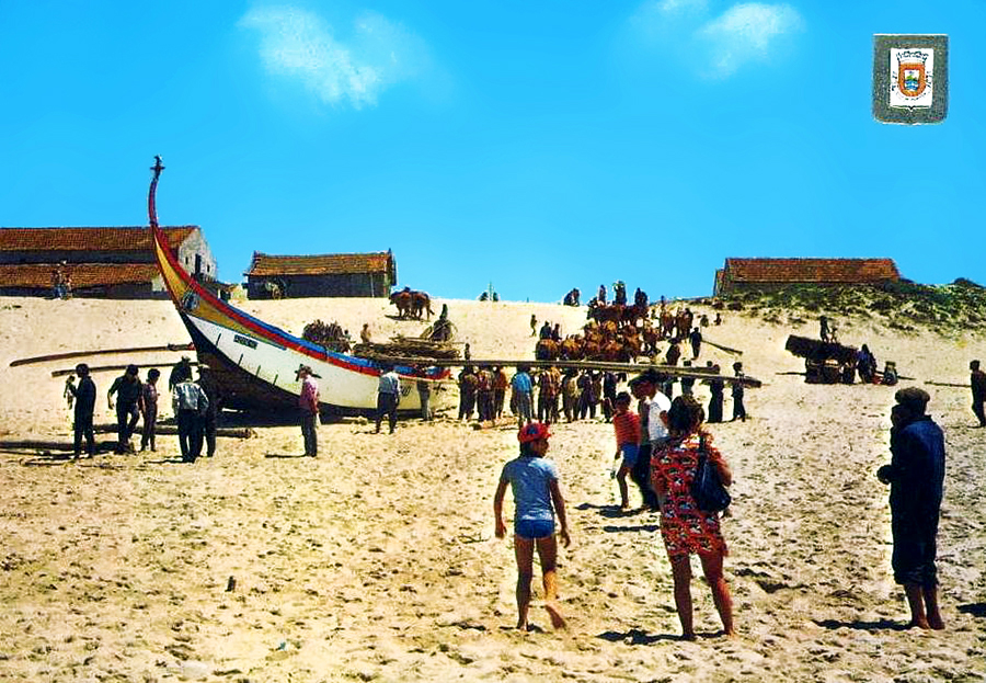 Retratos de Portugal: Murtosa - Praia da Torreira