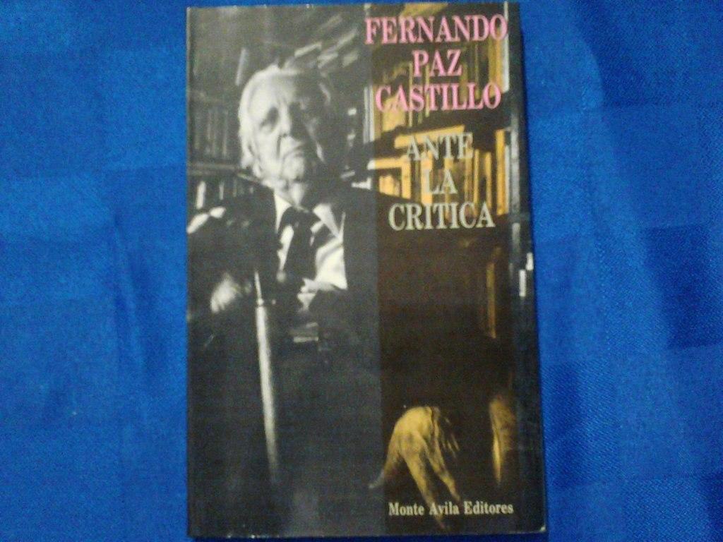 Mirada al vuelo: Fernando Paz Castillo ante la crítica
