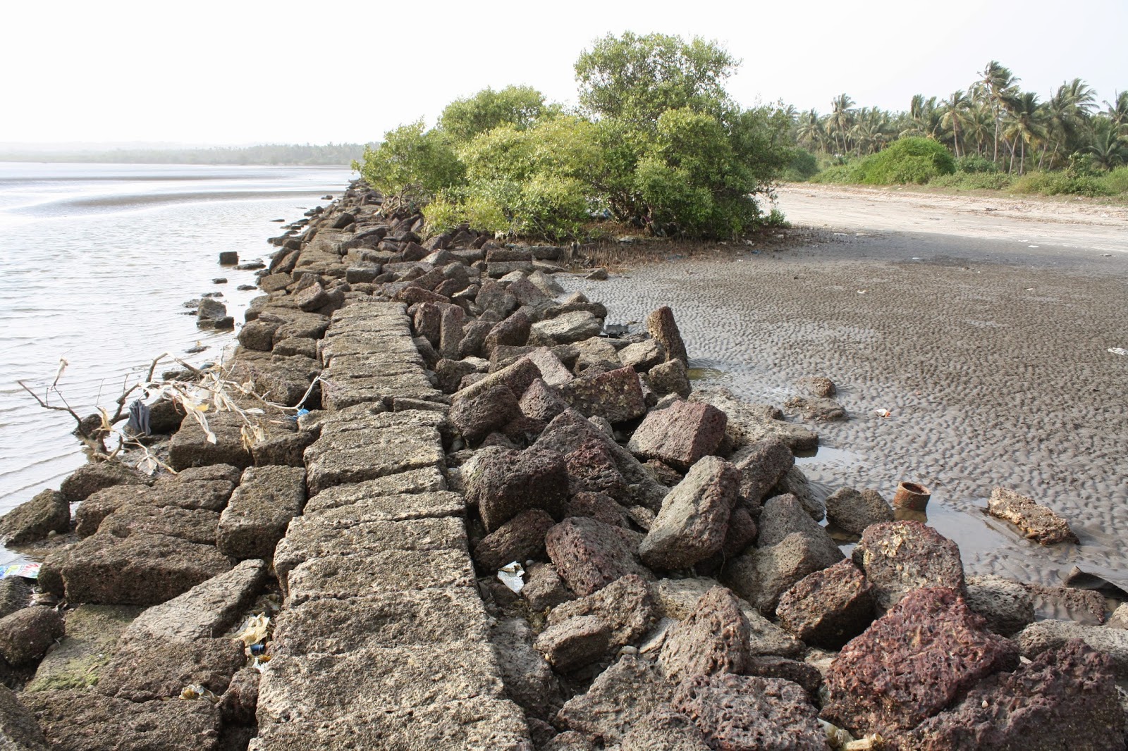 INDIA - The Christianity Circuit: Christianity Circuit 7/ Vecchia Goa ...