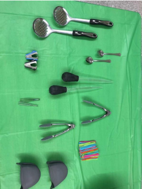 Creative Classroom Core: All About... Animal Adaptations: Bird Beak Lab