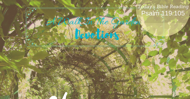 A Walk In The Garden: Today's Bible Reading: Psalm 119:105
