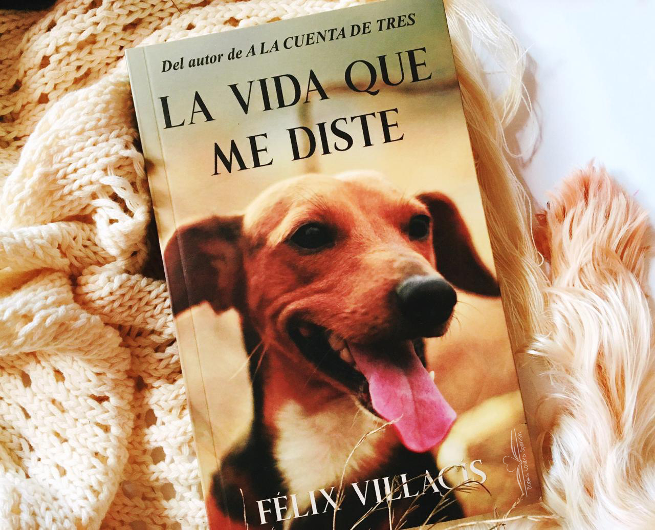 «La vida que me diste» de Félix Villacís