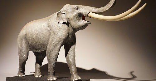 Hirokazu Tokugawa's Paleo Sculpture: Stegodon aurorae(2019)