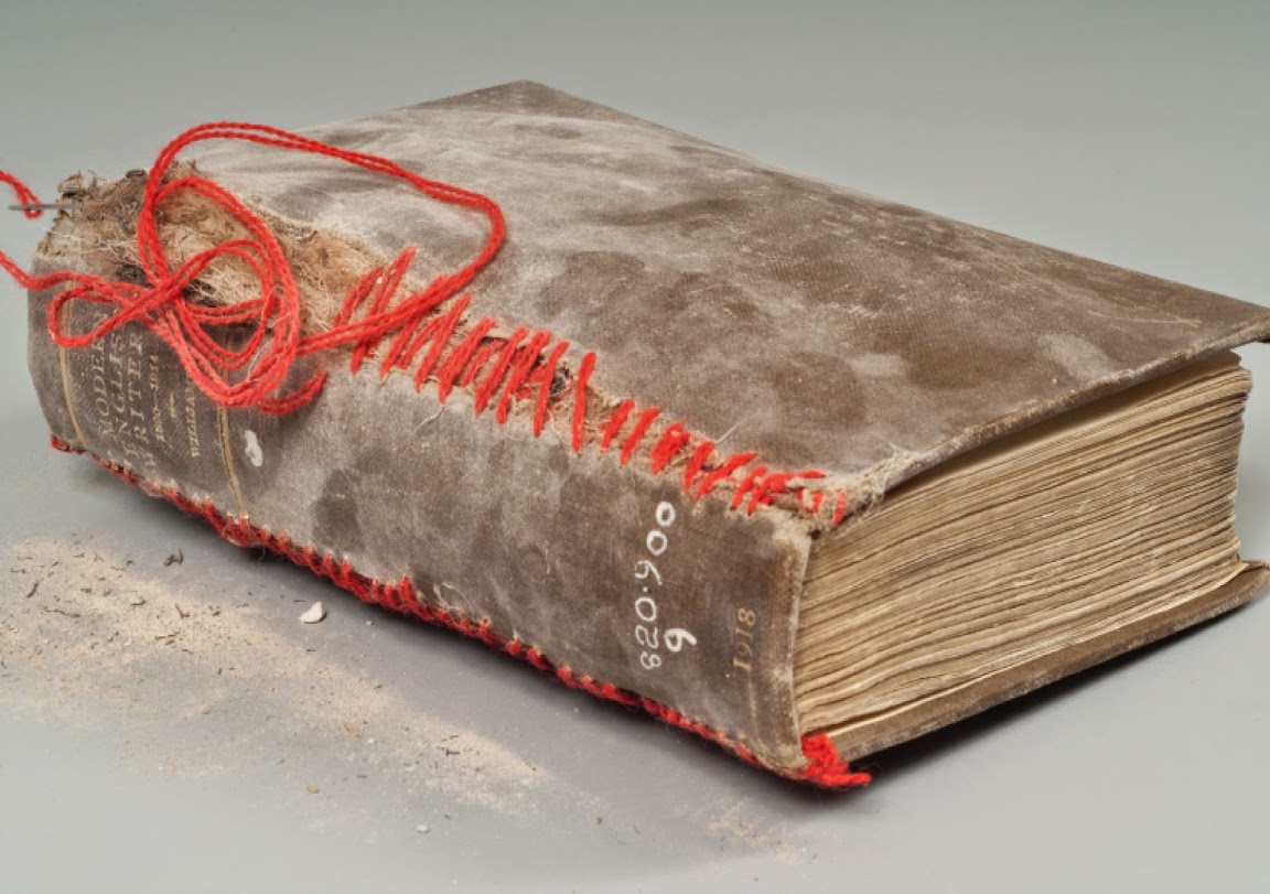 The Library of Lost Books