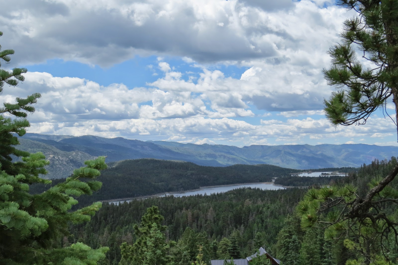 Durango Daily Photo: Electra