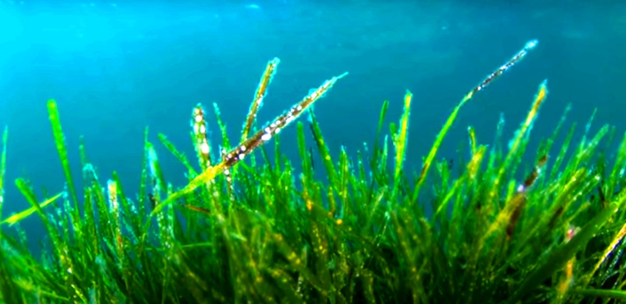 10 Future Food - Food Technology and Inventions