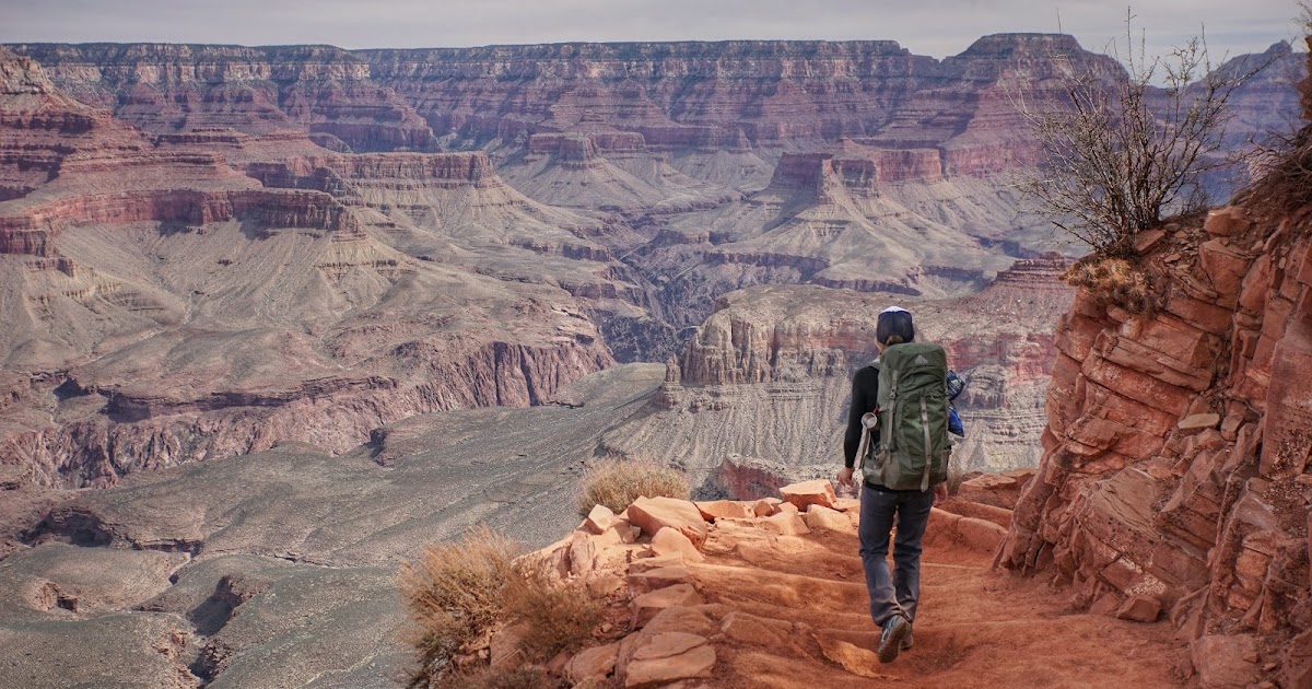 Caterpillar Poop Camp