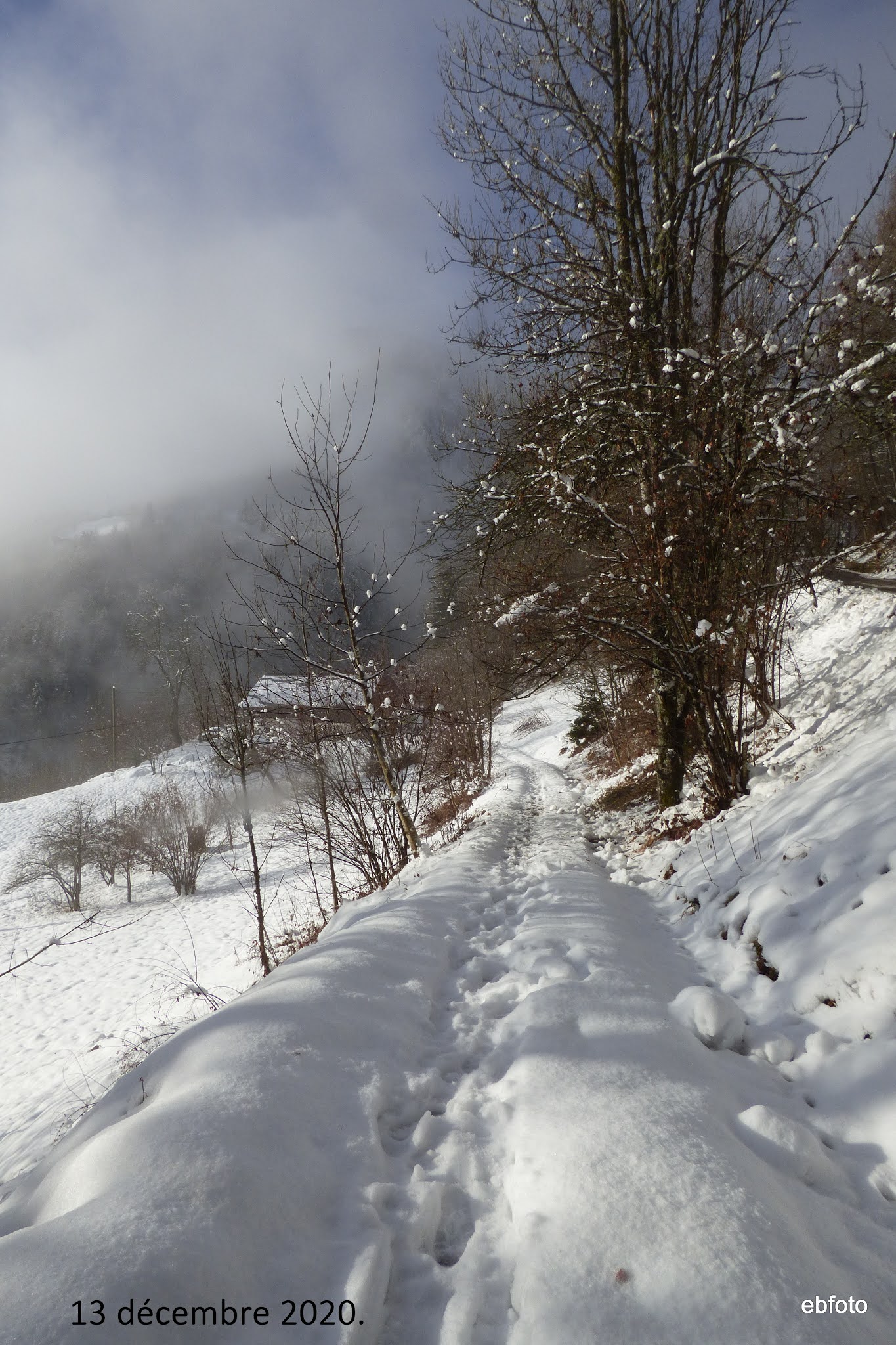 .: Le chemin enneigé.