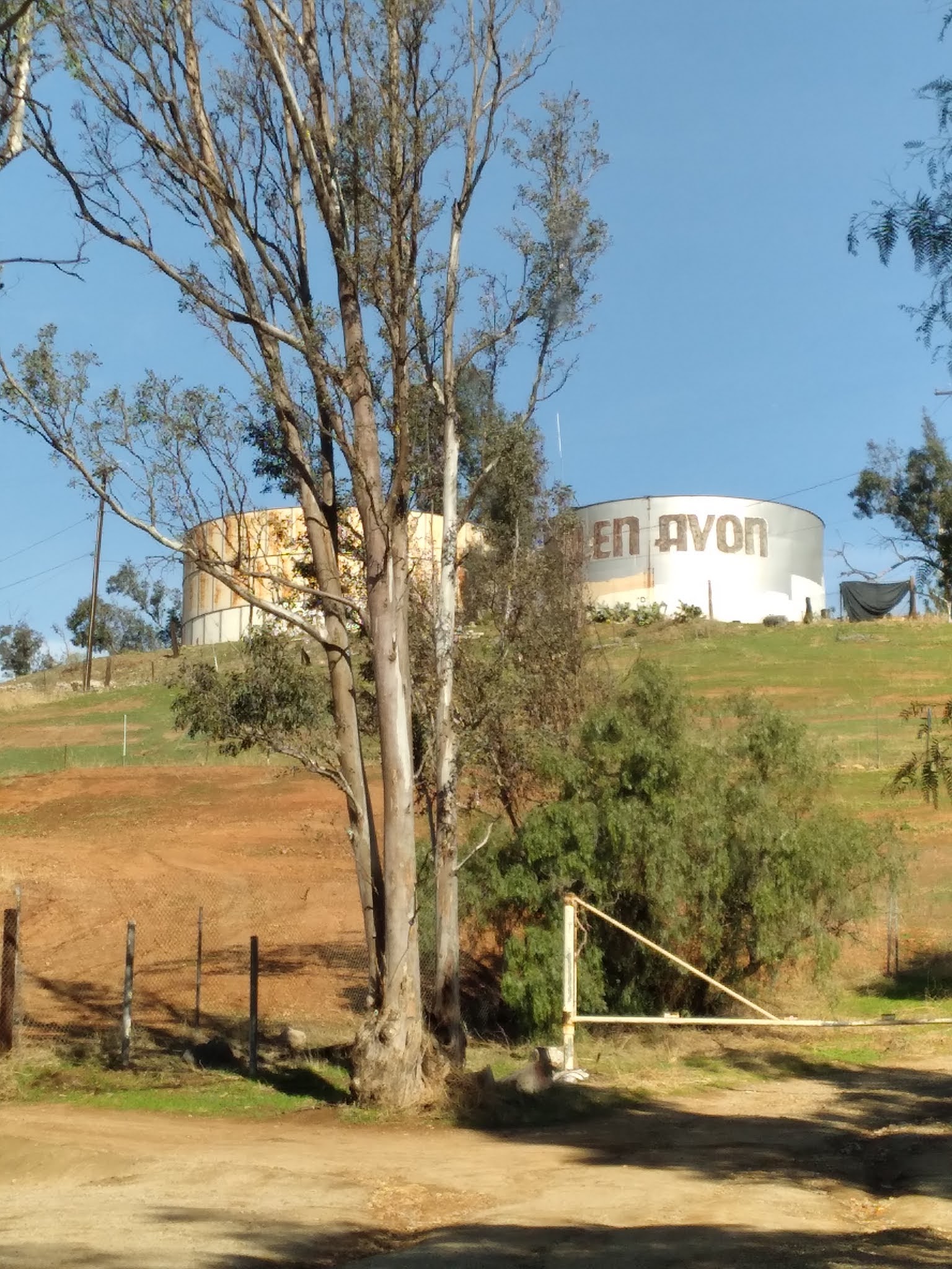 Yvonne Chamberlain-Marquez (Stringfellow Acid Pits)