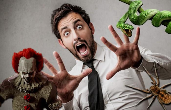 PsicoInfórmate: Definición innovadora de Salud Mental.