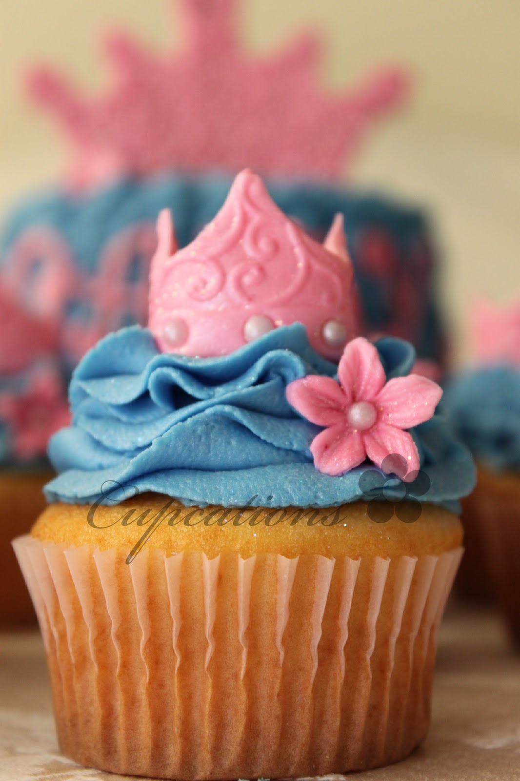 Cupcations : Princess Cupcakes!