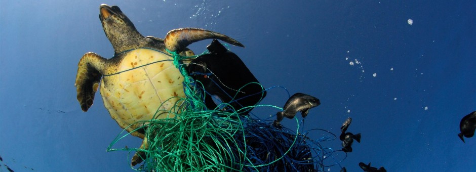 La pollution des océans - Africa Green Magazine