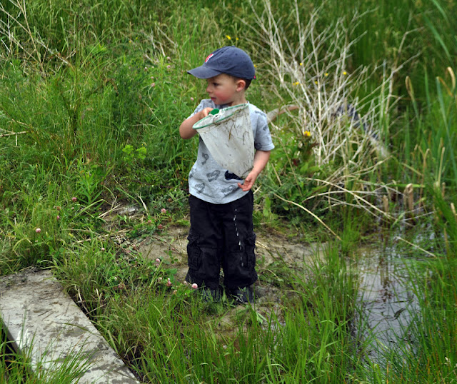 The Little Legers: Catching Frogs!