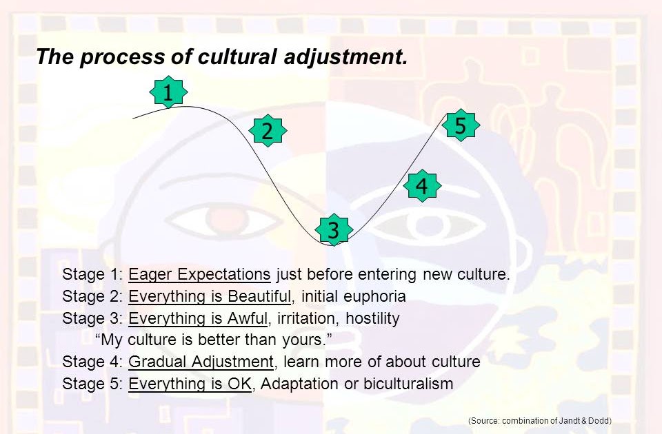 WilliamHartPhD's Notes: InterculturalCom: Culture Shock: Process of ...