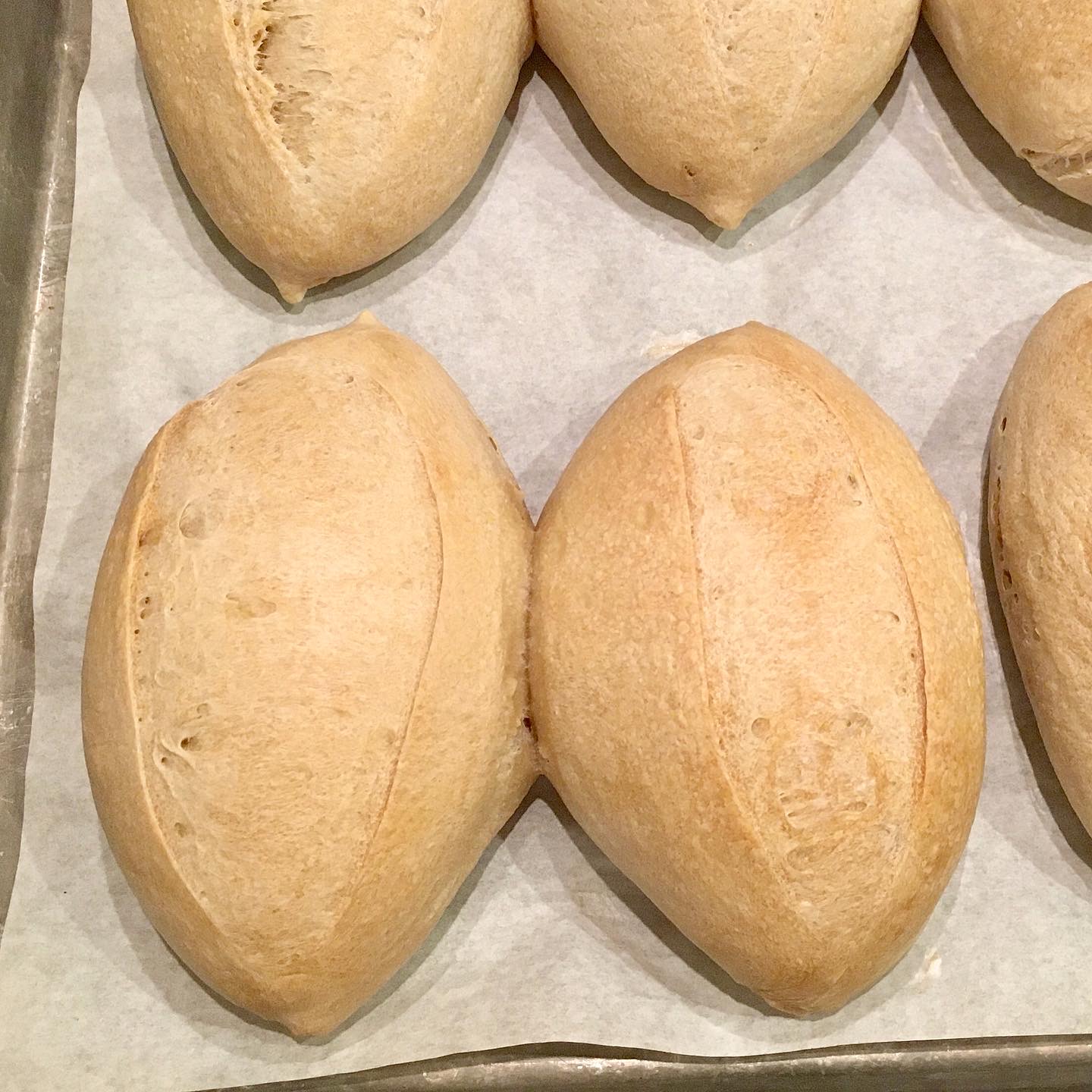 Cooking without a Net: Baking Class: Sourdough Bolillos