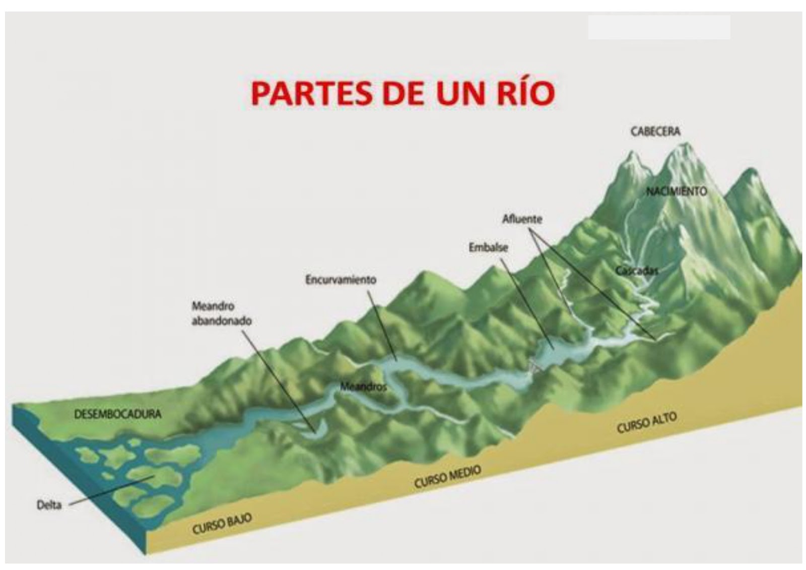 O BLOGUE DE 4º: mayo 2020