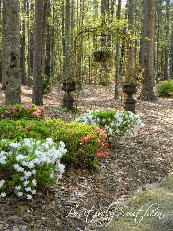 A Southern Styled Yard | Positively Southern