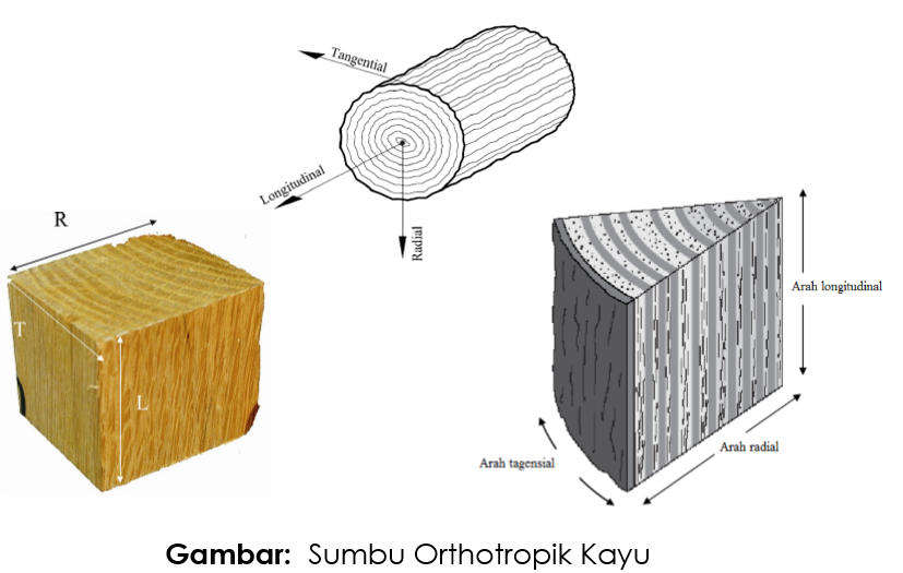 Sifat-sifat Kayu