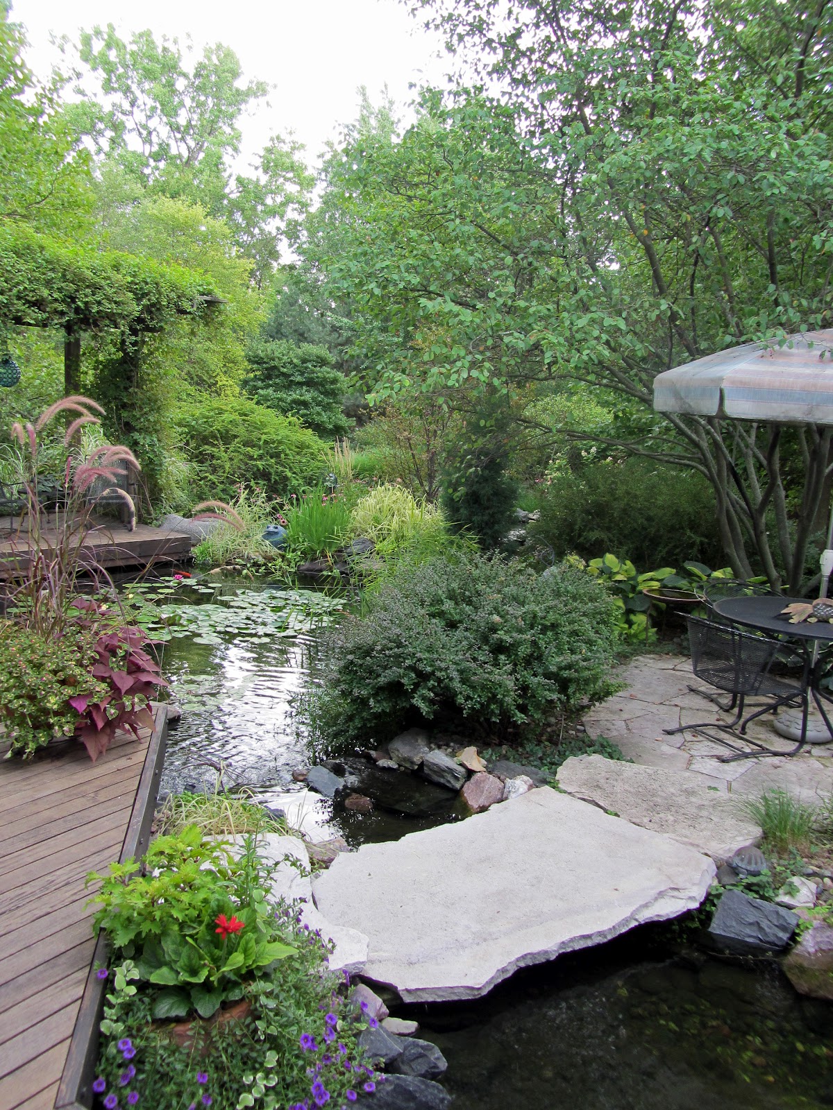 Gatsbys Gardens: A Tale Of Four Gardens - Part Two