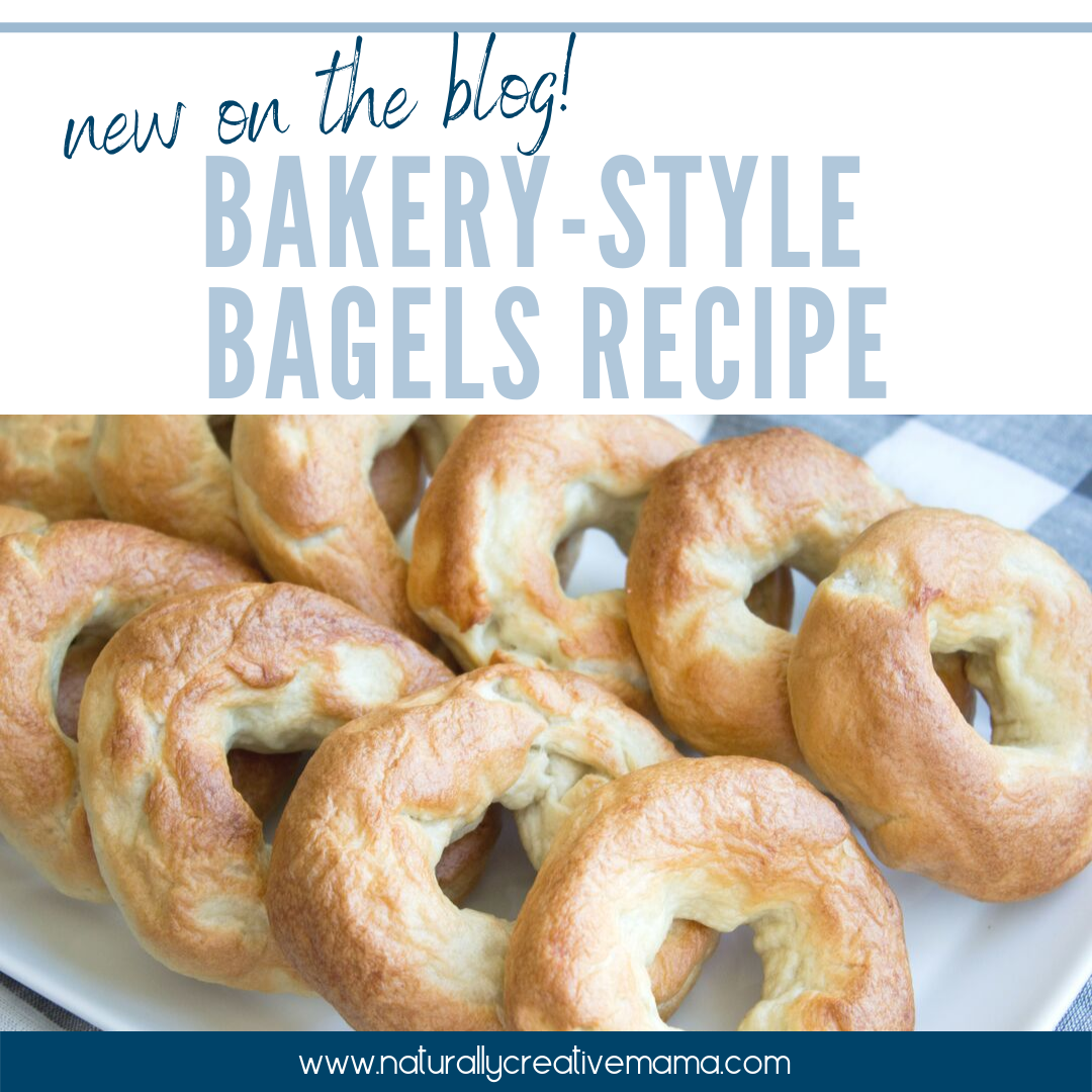 Bakery-Style Bagel Recipe - Naturally Creative Mama