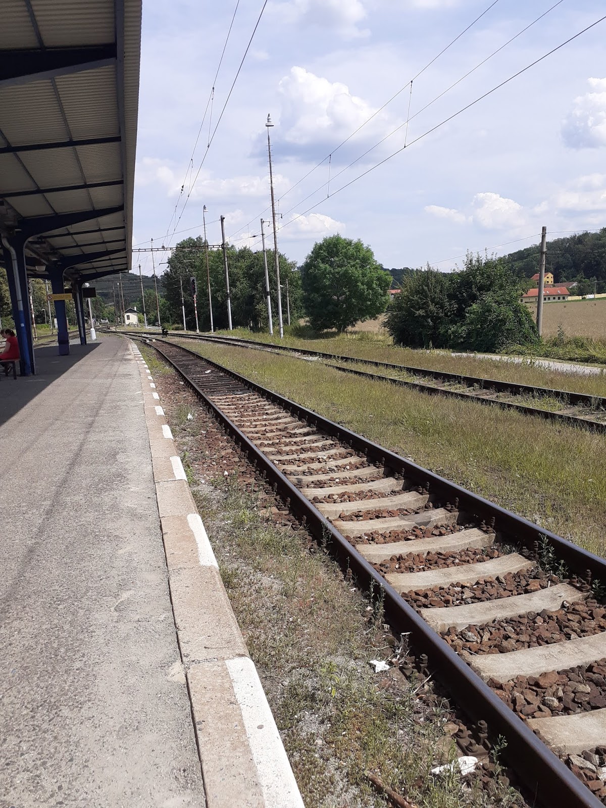 Sister Brylee Lewis: "Chicken Nuggets, Grand McSundae and Alcohol"