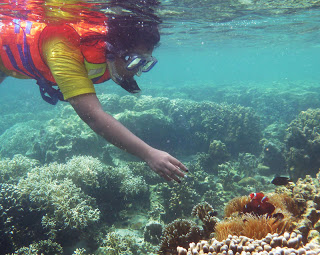 Indahnya Snorkling di Pulau Pahawang ~ Wisata Snorkeling Lampung