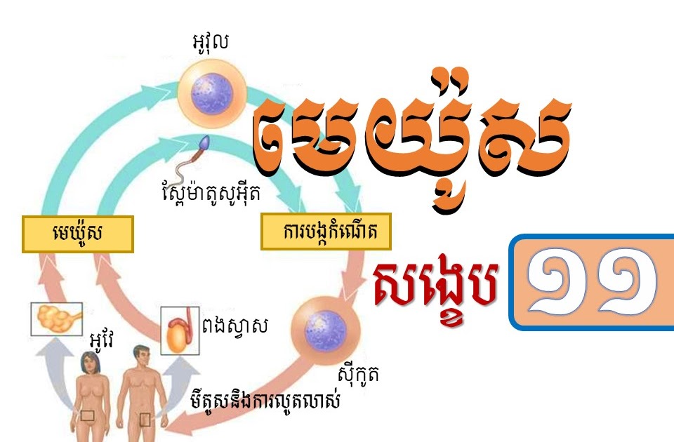 ជីវវិទ្យា