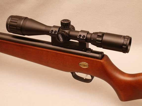 Archer on Airguns: Beeman 1073, RS2, Grizzly X2, Walmart Beeman Dual ...