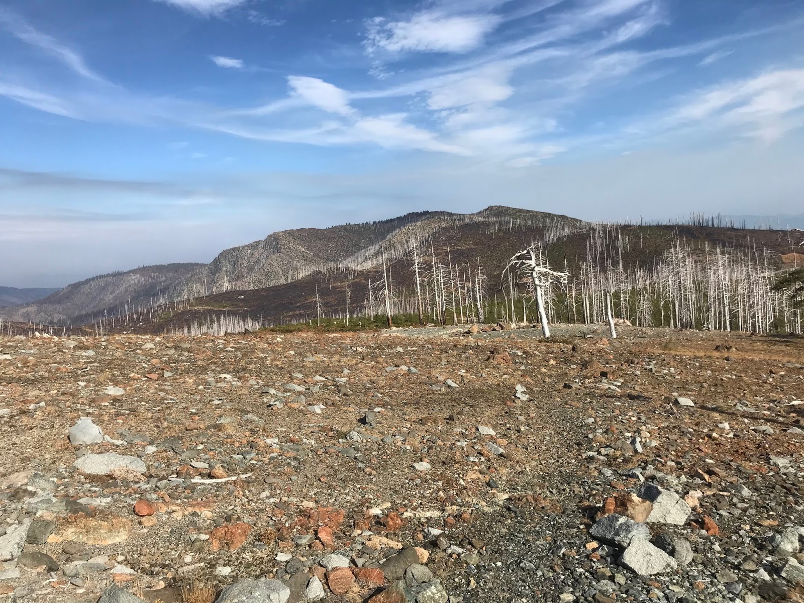 The Siskiyou Crest : Klondike Fire: Fire Ecology in the Biscuit Reburn