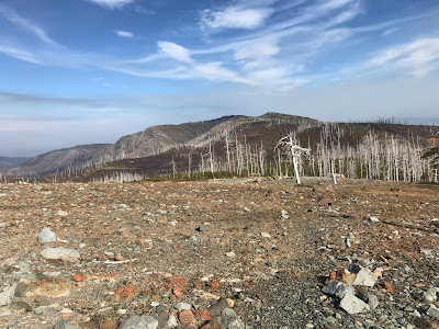 The Siskiyou Crest : Klondike Fire: Fire Ecology in the Biscuit Reburn