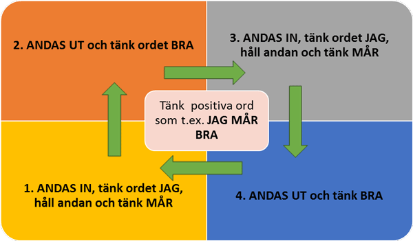 Wellness Guide: Andning stärker din hälsa!