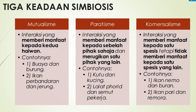 jenis interaksi antara haiwan - Vanessa Bower