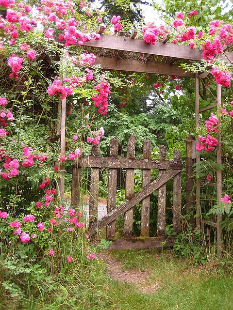 Lady Anne's Cottage: Charming Garden Gateways...