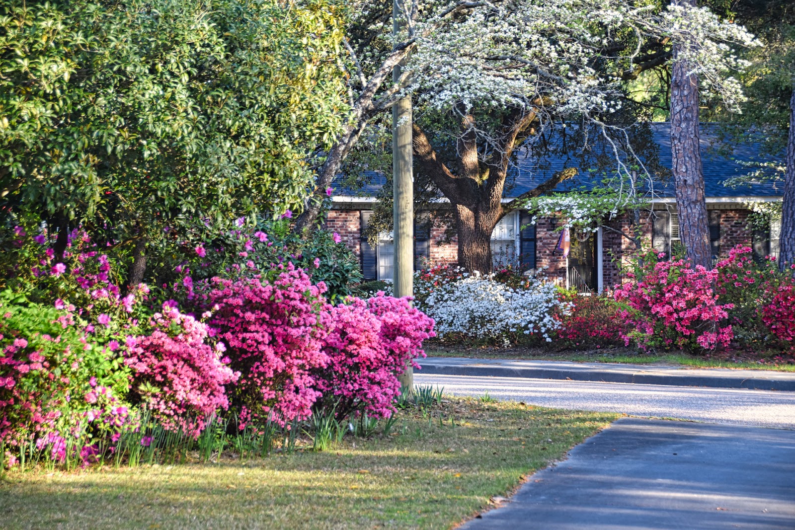 Royal Town Rambles: The Splendor of a Southern Spring