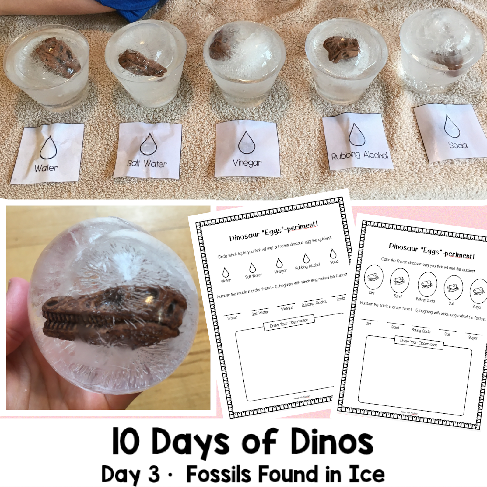 10 Days of Dinos!