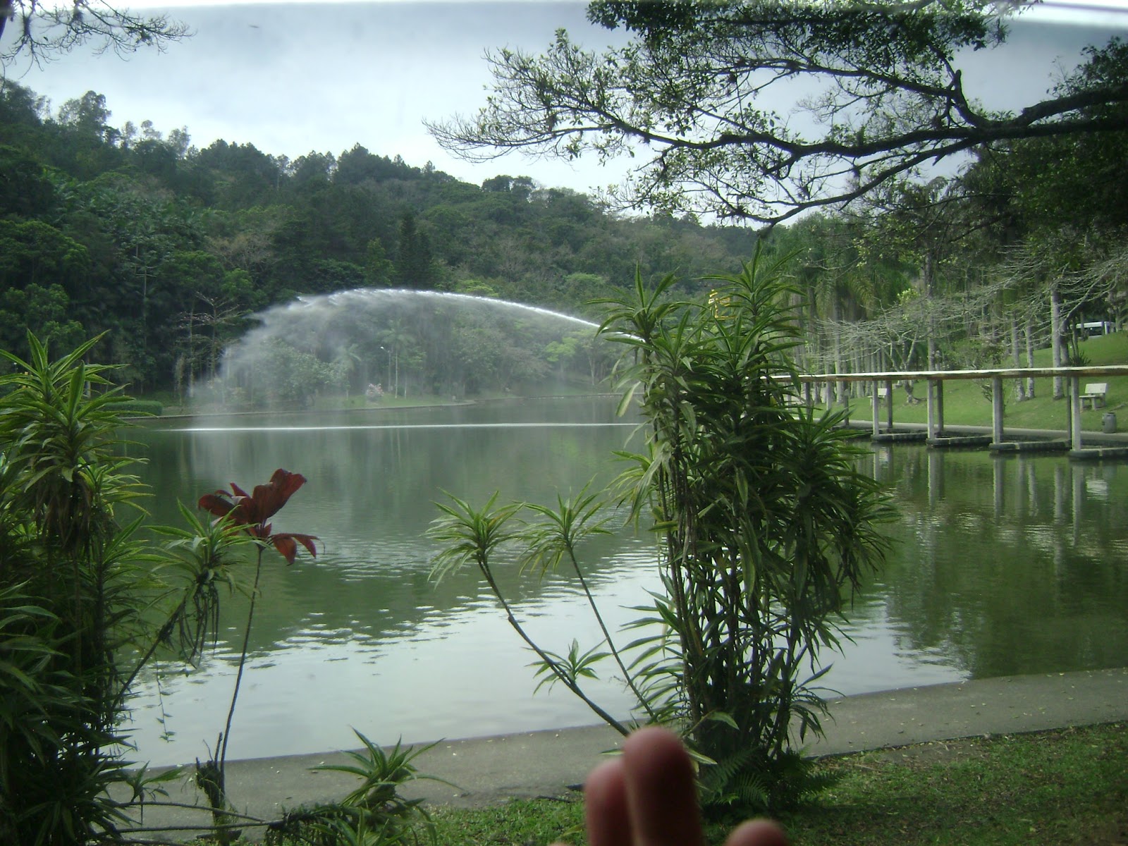 Circulando por Jaraguá do Sul - SC: Parque Malwee completa 34 anos