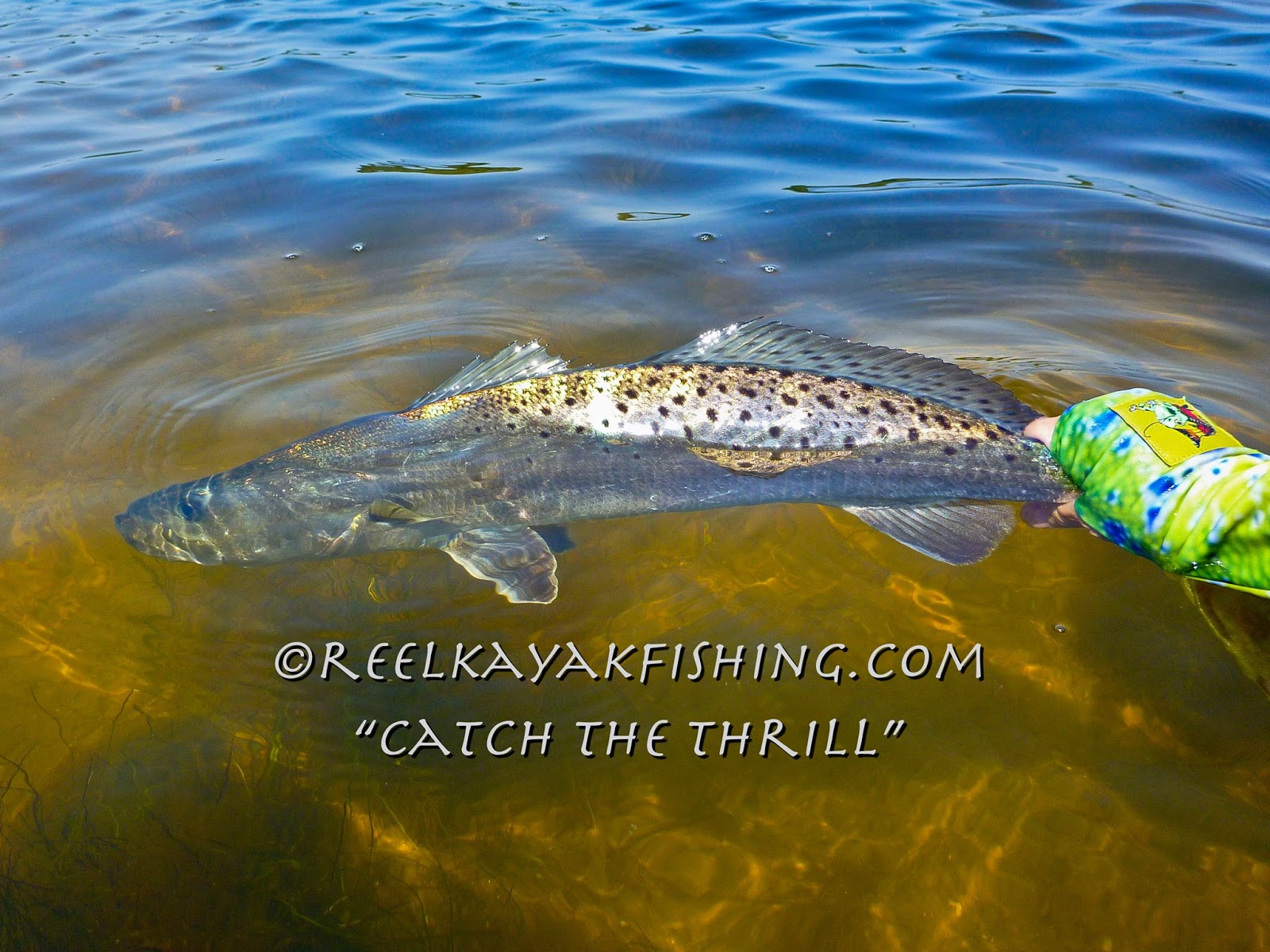 On Foot Angler: From Capt. Charlie @ Fishing Center - Ft Pierce