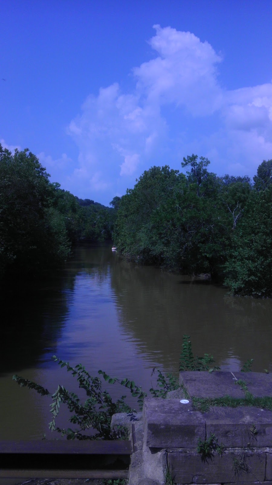 Hiking with Megan in Maryland and Beyond: C&O Canal: Riley's Lock
