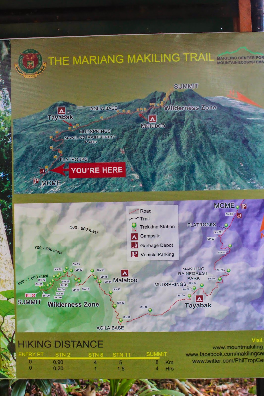 Wandering Den: Mt. Makiling