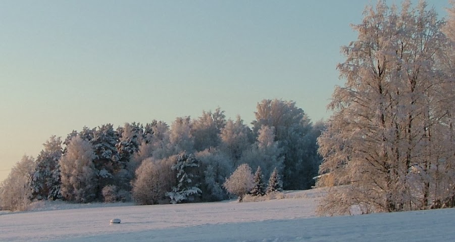 Saran mökissä ja puutarhassa: Tunnustus