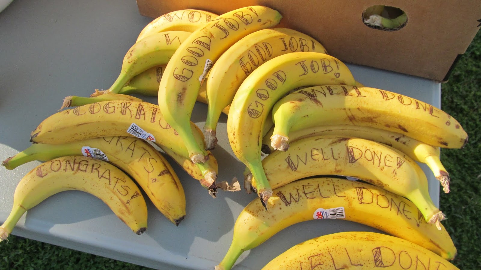 It's Not How You Finish...It's How you Play the Game