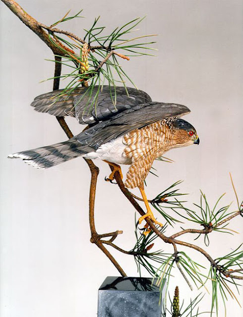 My Owl Barn: Wood Carved Decoys and Bird Sculptures by Award Winning ...