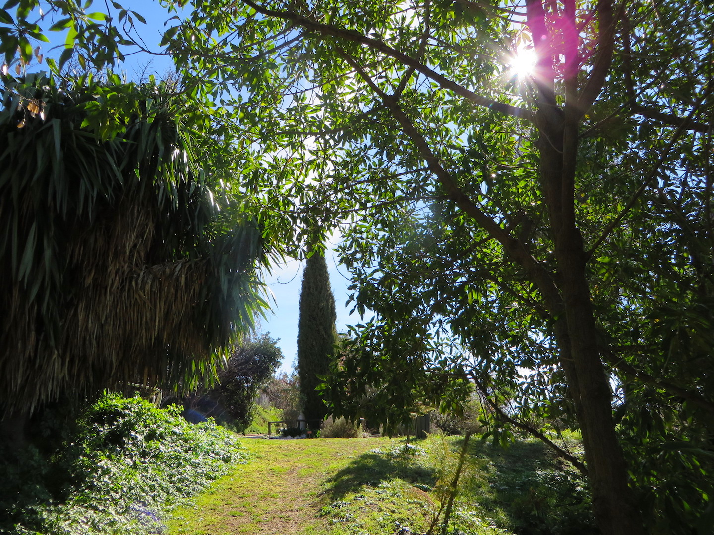 Mediterranean Travels: Jardin Botanique, Botanical Garden, Nice, South ...