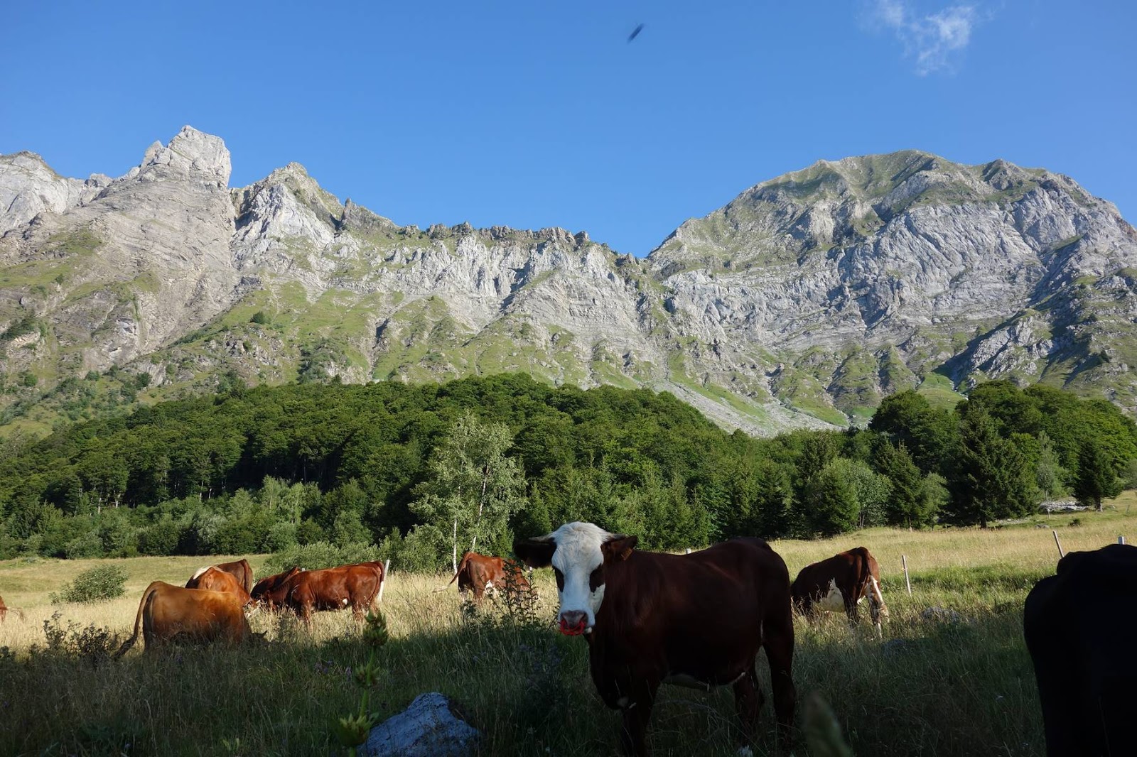 Weekend rando dans les Aravis