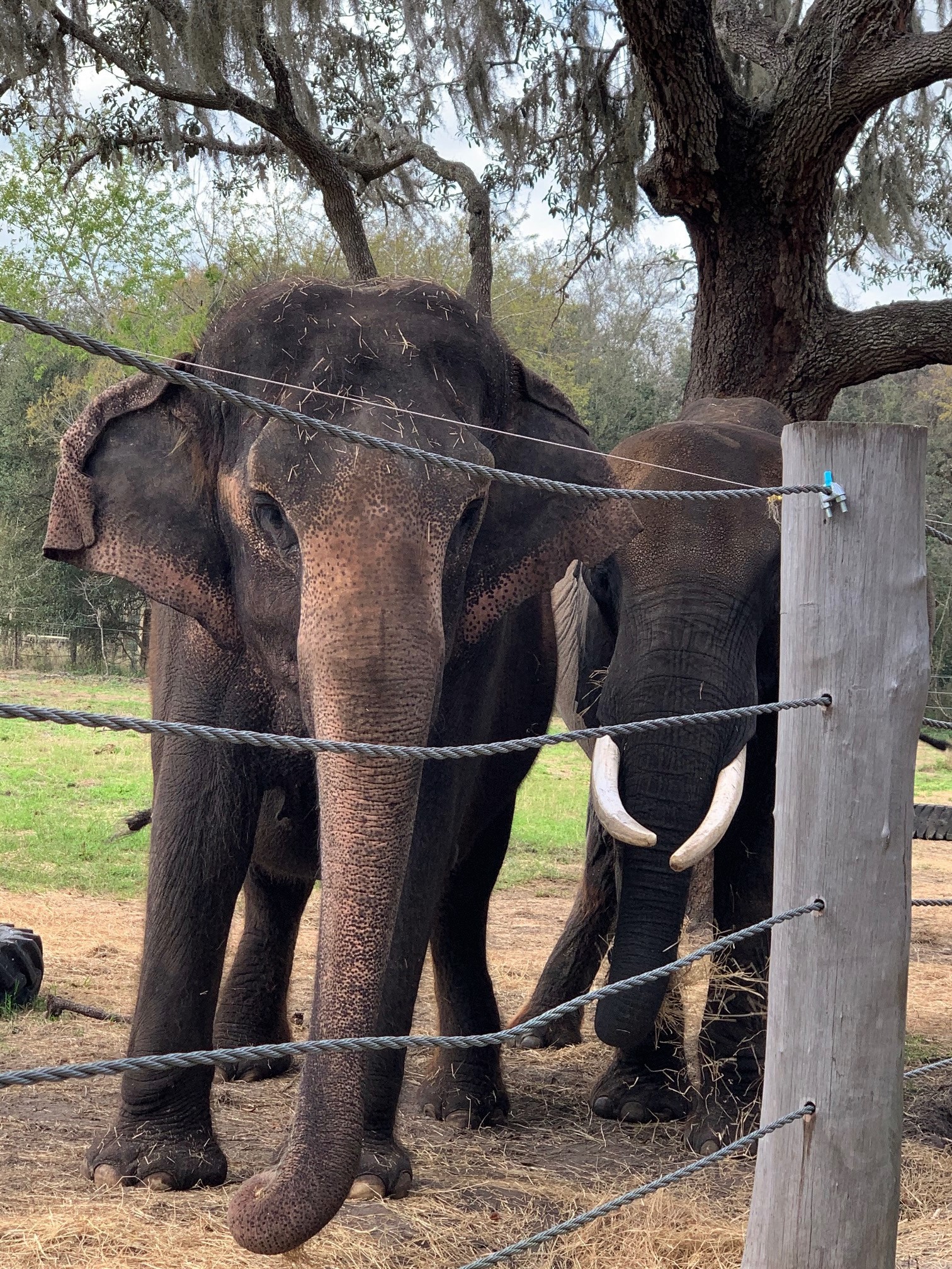 Nanette's New Life - Changes in Latitudes, Changes in Attitudes ...