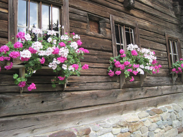 martha's vienna: Austria's Geranium Window Boxes