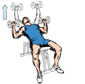 5 Cara Latihan Fitness Untuk Dada