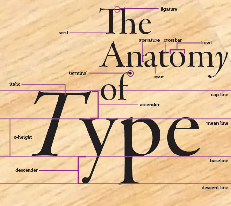 . Art109 . Miami .: THE ANATOMY OF A LETTER OF TYPE: A glossary and ...
