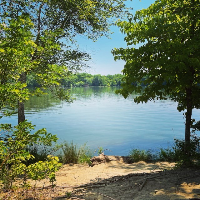 North Carolina Odyssey Project