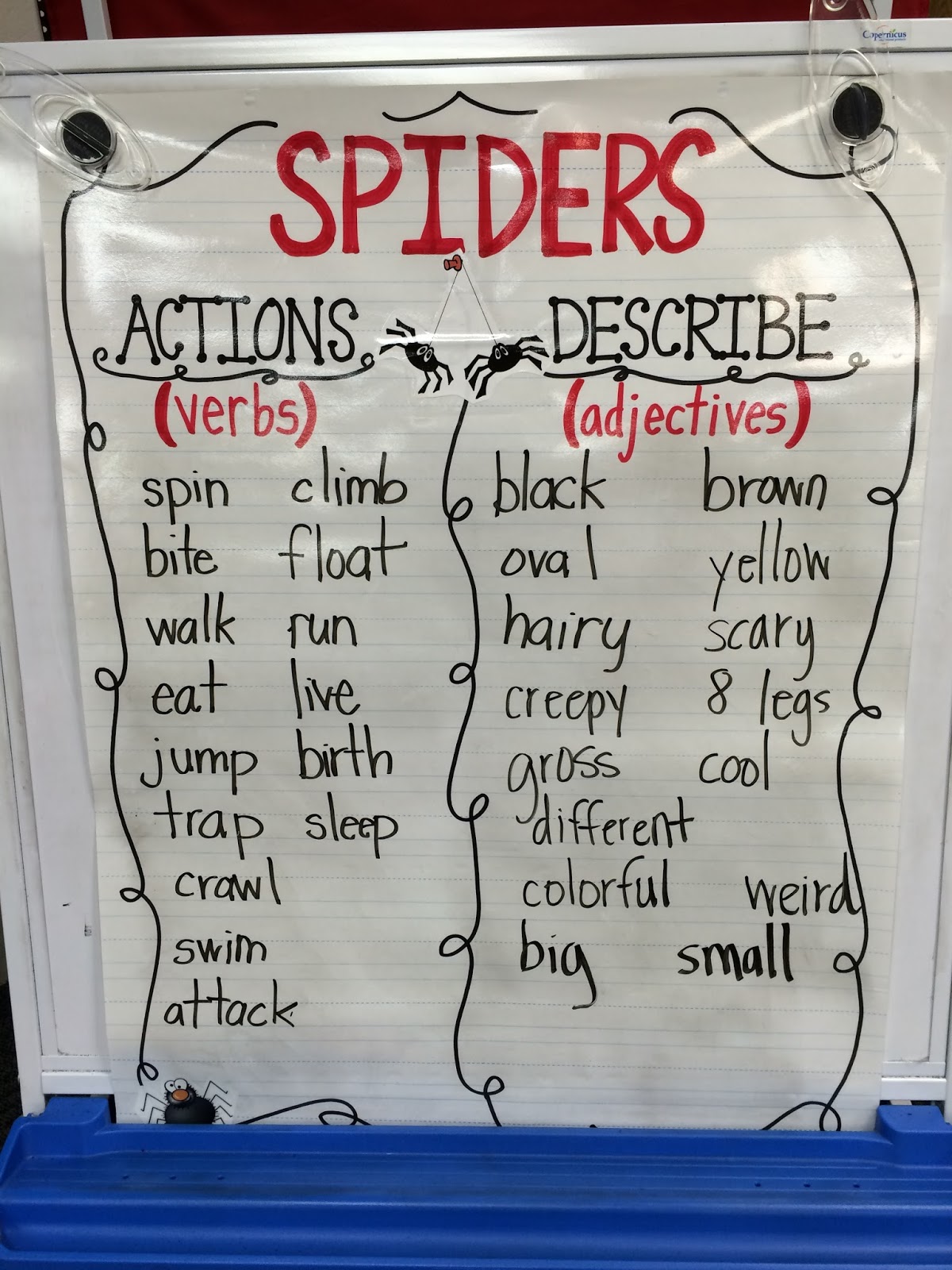 Spider Examples In Sentences at Ruben Lefebvre blog
